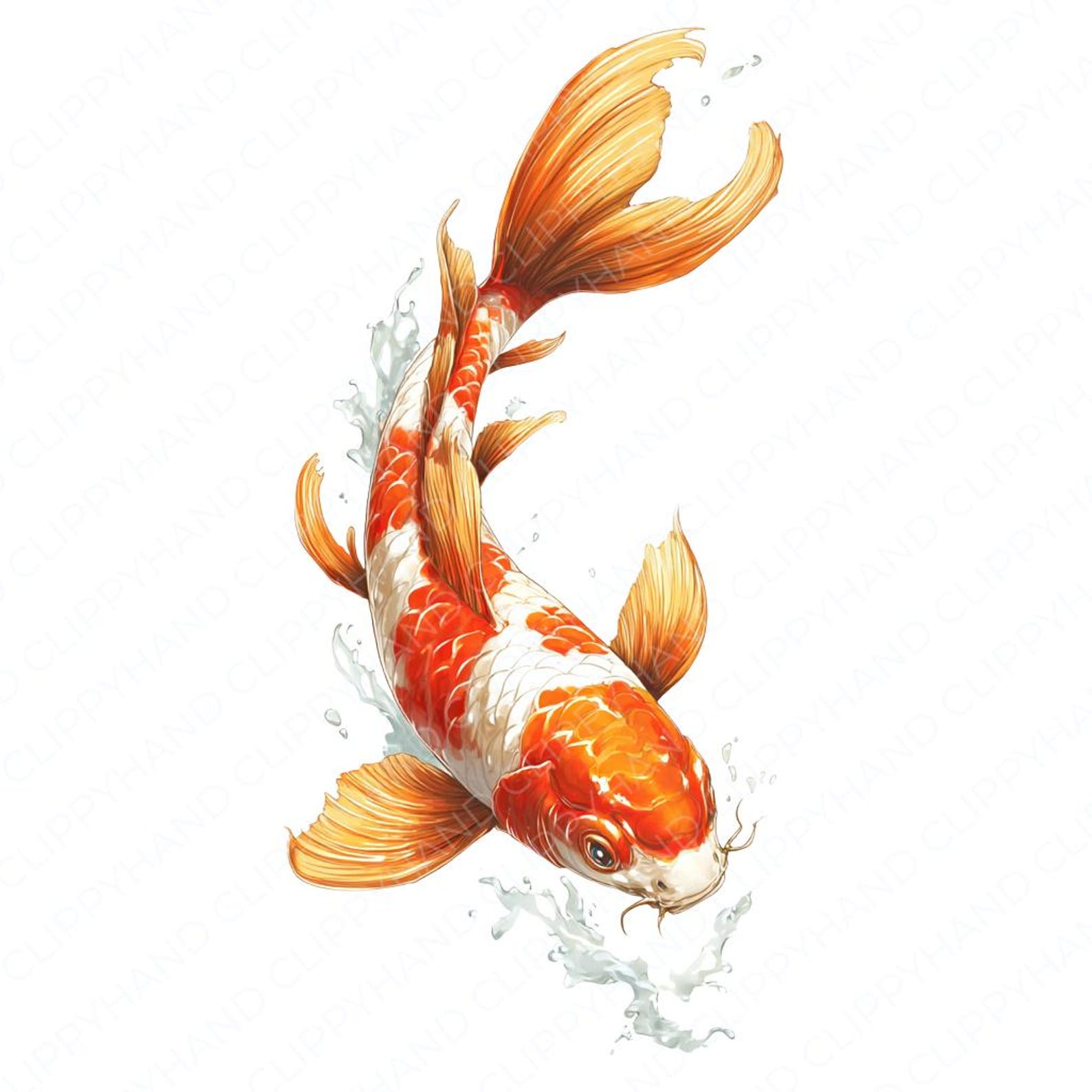 20 Koi Fish Clip Art, Koi Fish No Background, Koi Fish Transparent PNG ...