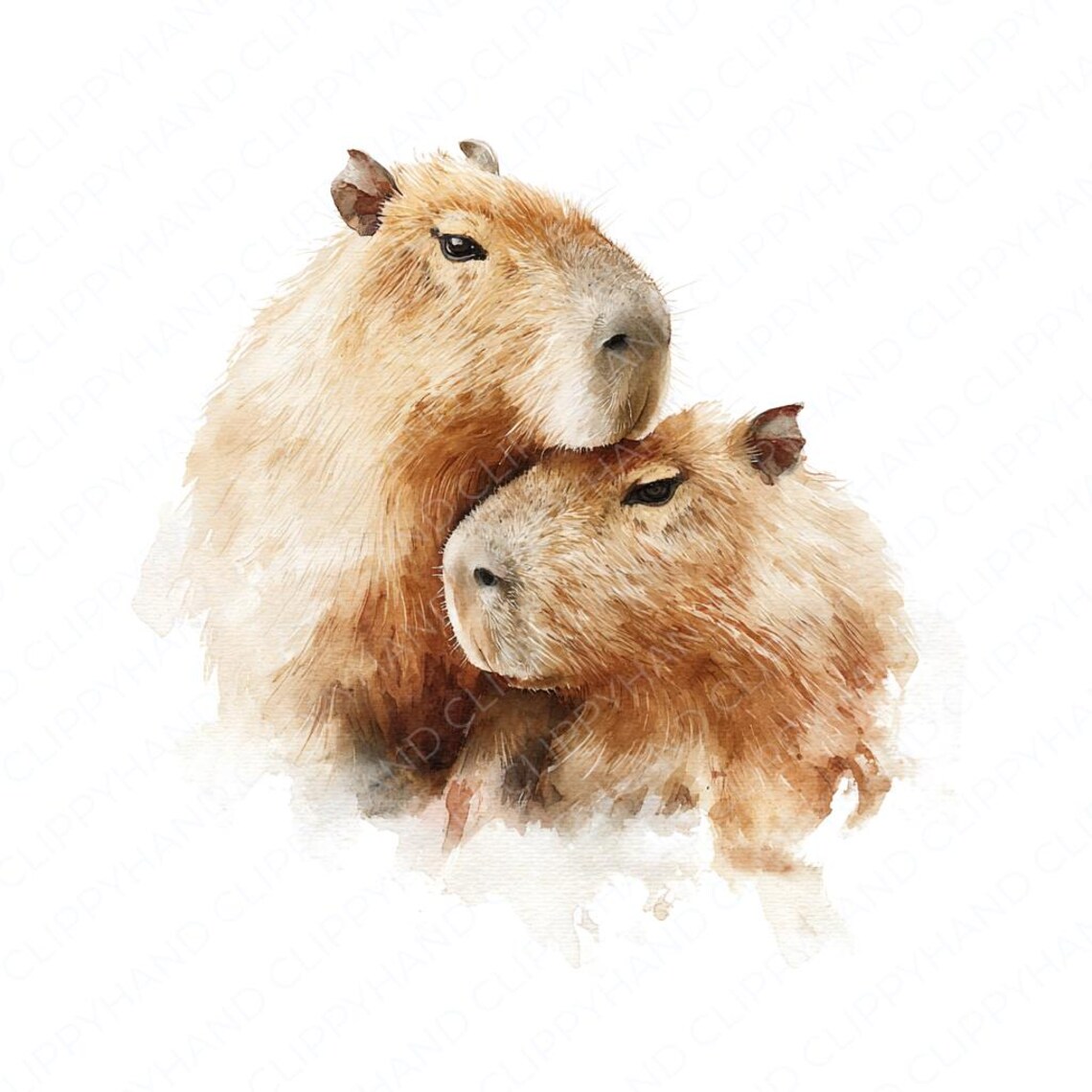 Watercolor Capybara Clip Art, Capybara Clipart, Capybara PNG Image ...
