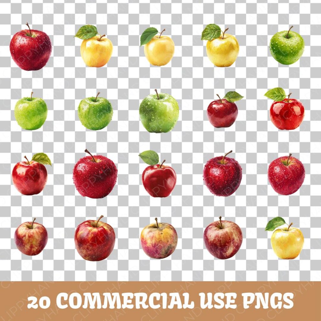 Real Apple Clipart | Fresh Fruit Clipart Bundle | 20 High-quality ...