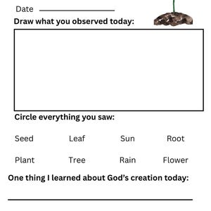 Plant Your Faith - Christian Homeschool Science Kit - Photosynthesis ...