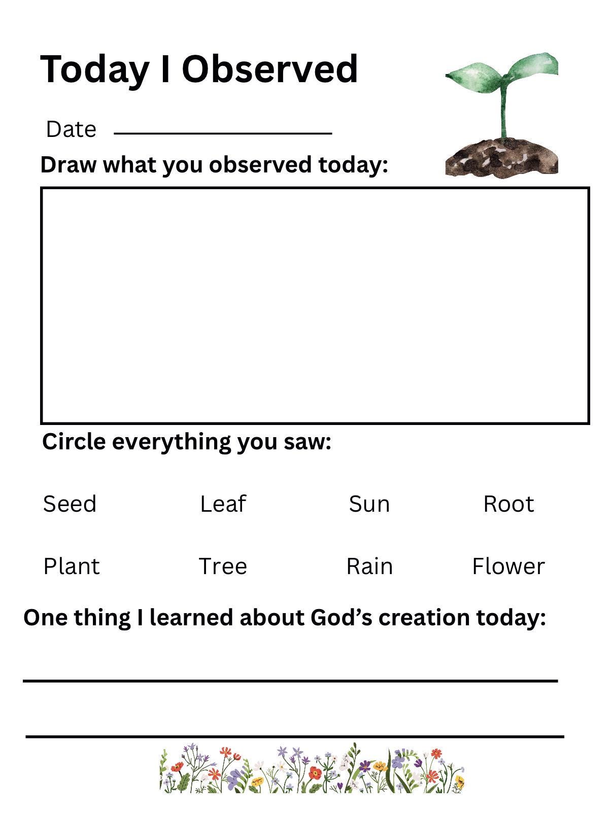 Plant Your Faith - Christian Homeschool Science Kit - Photosynthesis ...