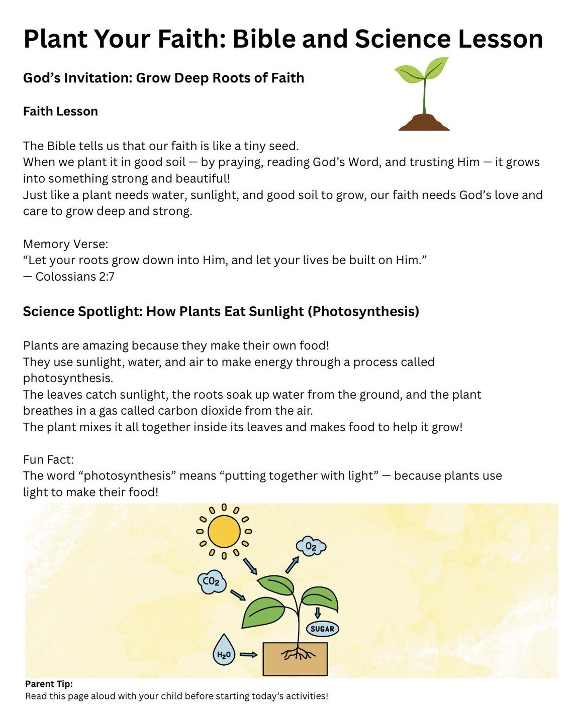 Plant Your Faith - Christian Homeschool Science Kit - Photosynthesis ...