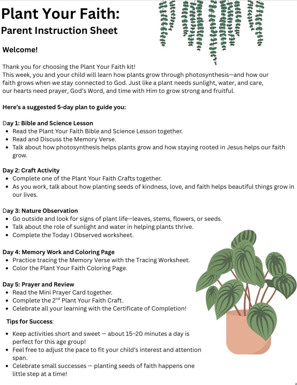 Plant Your Faith - Christian Homeschool Science Kit - Photosynthesis ...