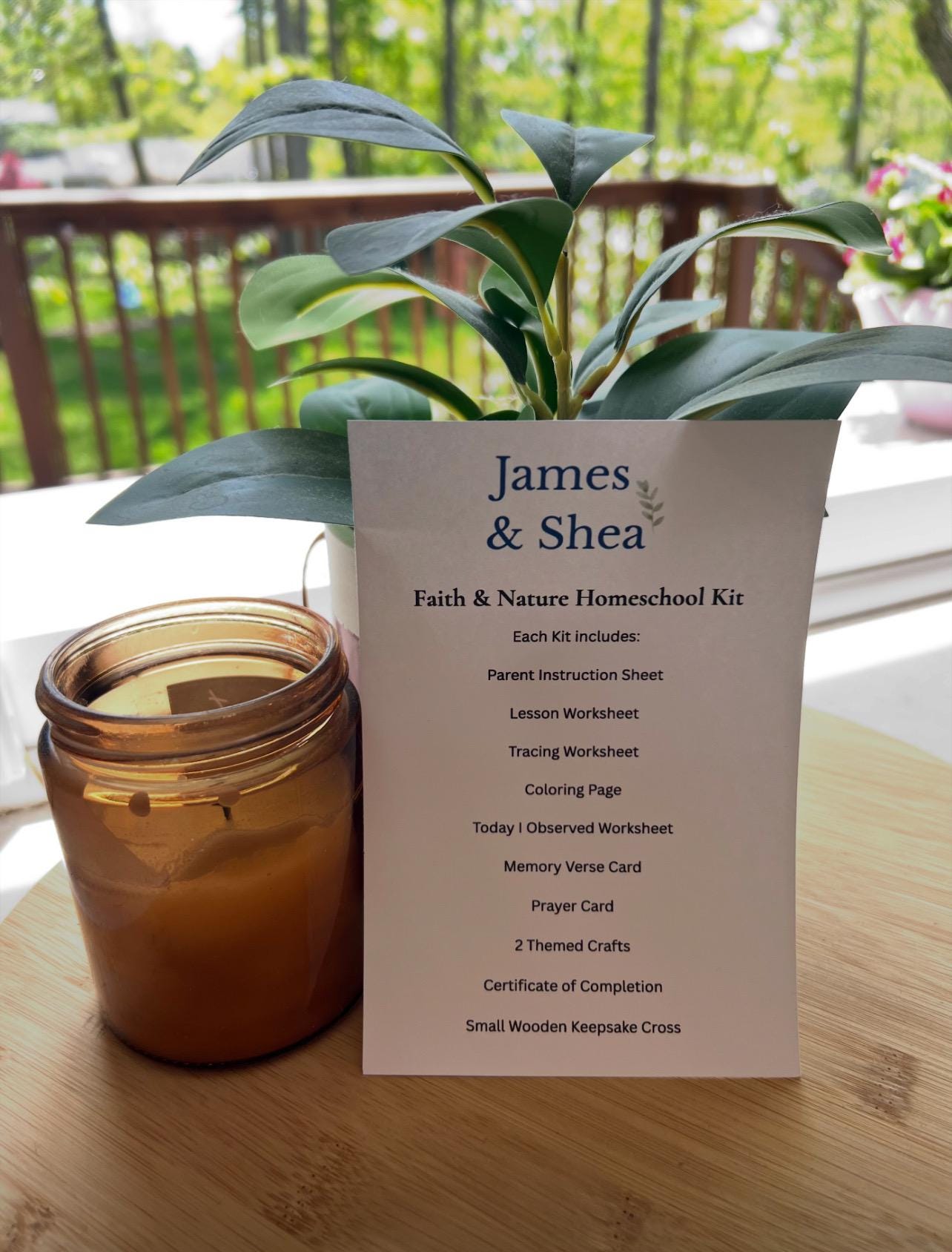 Plant Your Faith - Christian Homeschool Science Kit - Photosynthesis ...