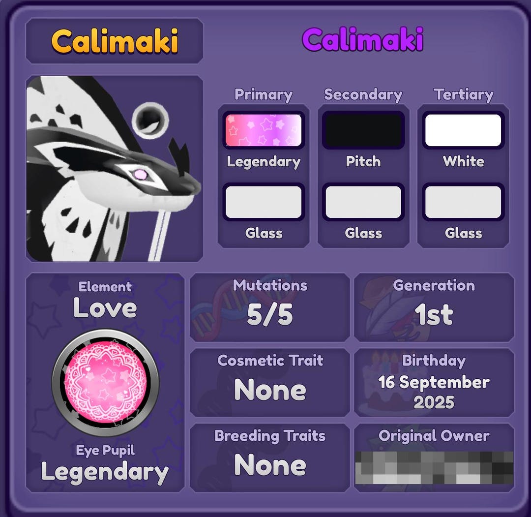 Calimaki Dragon Adventures - Etsy