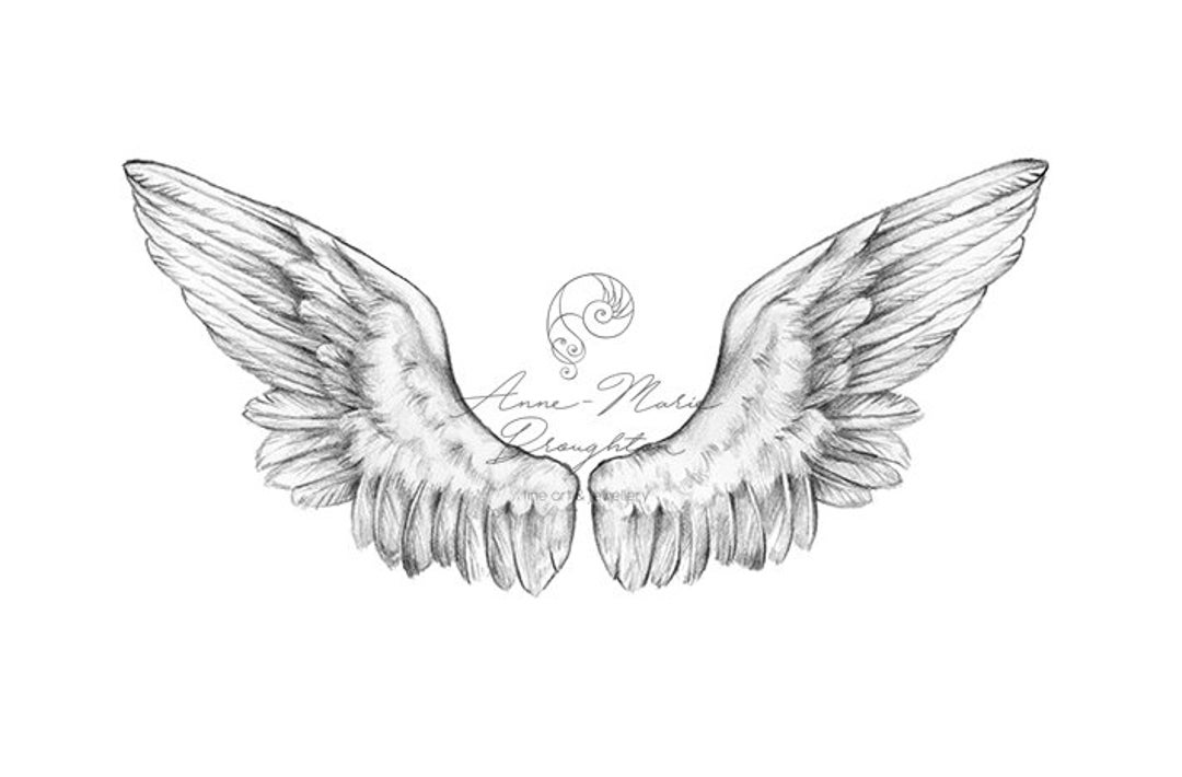 Angel Wing Pencil Drawing