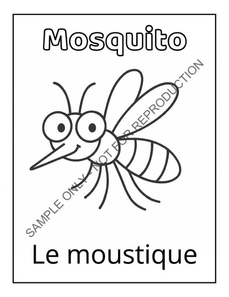 Bilingual Colouring Pages for Kids – English & French – 10-page ...