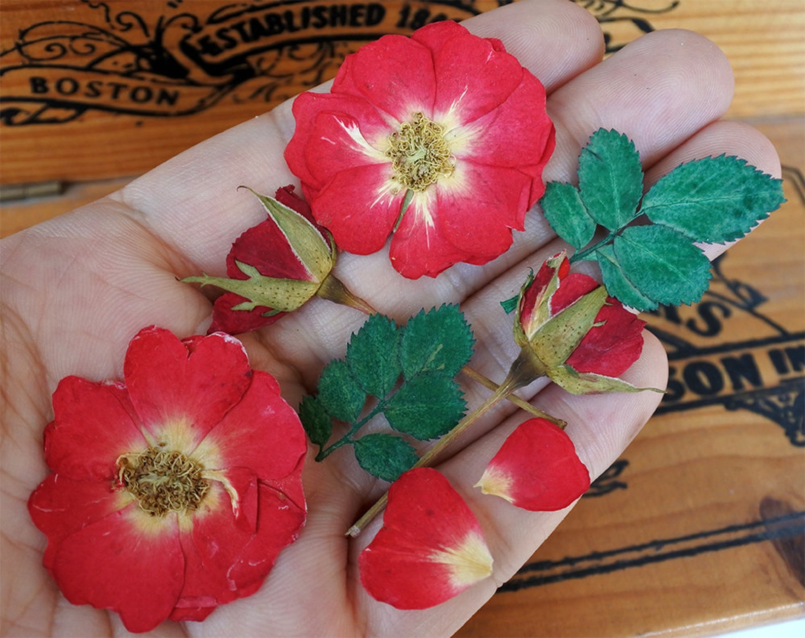 Real Dried Pressed Flowers Rose Buds and Rose Leaves for - Etsy