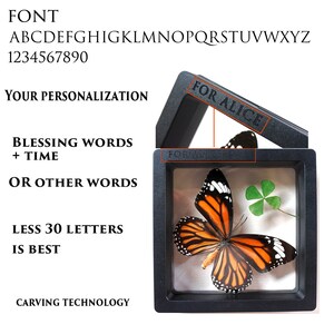 Real Butterfly 3D Floating Frame With Support Base ,original Butterfly ...