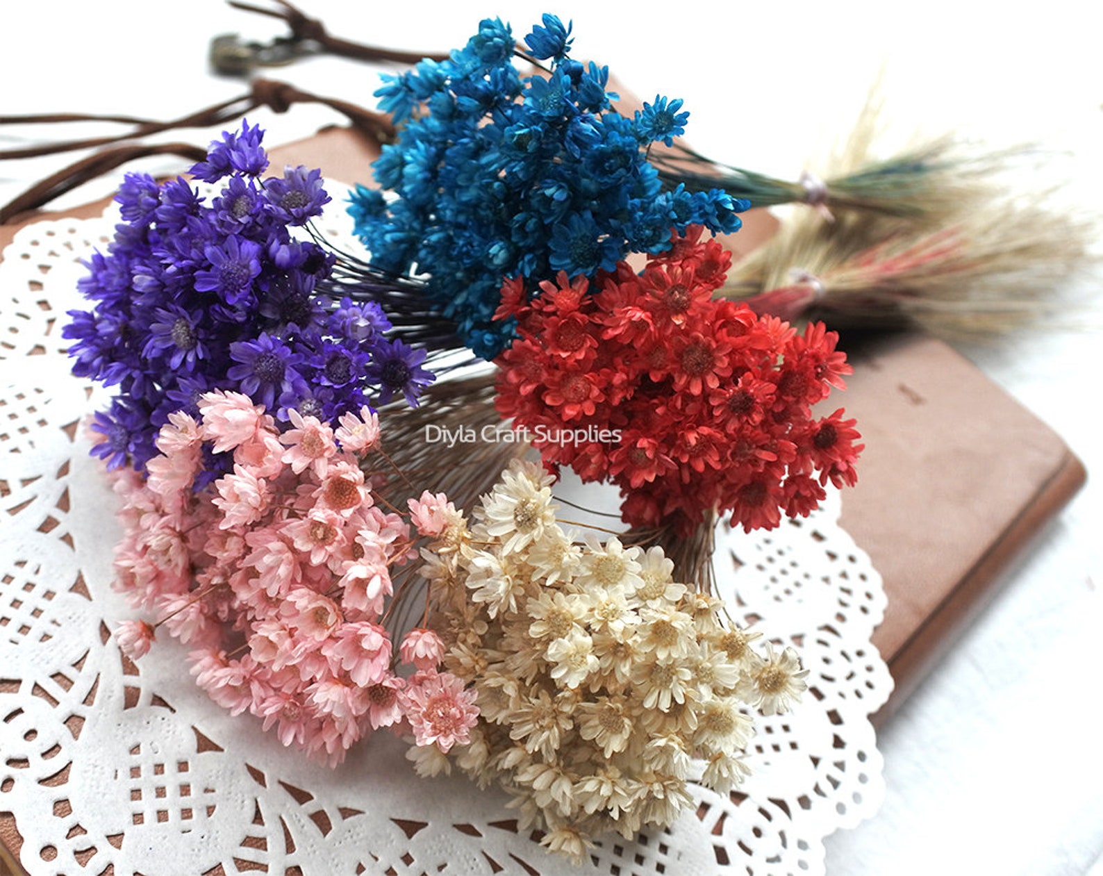 100 Pcs Mini Star Daisy, Real Flowers Natural Dried Flowers White Pink ...