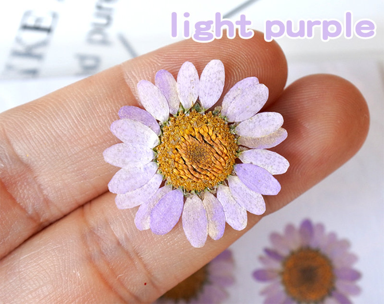 12 pieces pink Daisies Pressed flowers for resin natural | Etsy