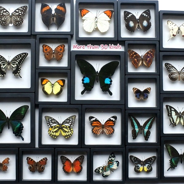 3d Floating Frame - Etsy