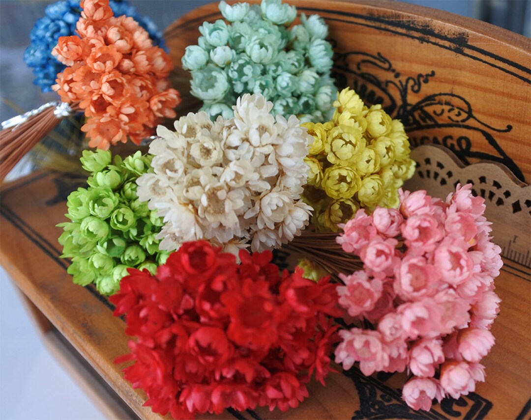 50pcs Mini Star Daisy, Real Flowers Natural Dried Flowers White Pink ...