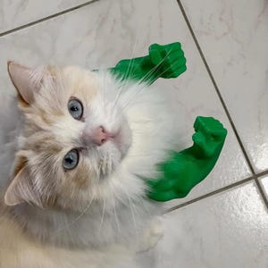 3d Print Muscle Arms for Cat - Etsy