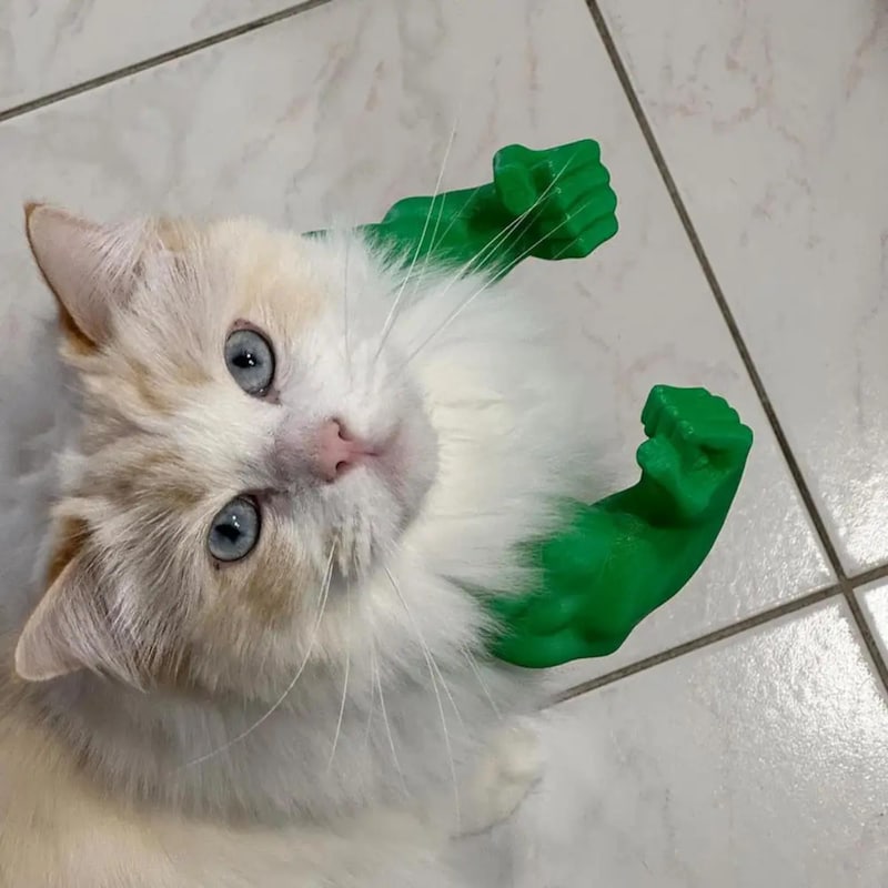 3d Print Muscle Arms for Cat - Etsy