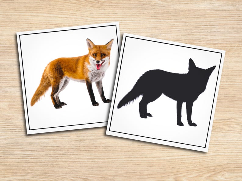 Montessori Shadow Matching Cards – Forest Animals | Preschool Printable ...