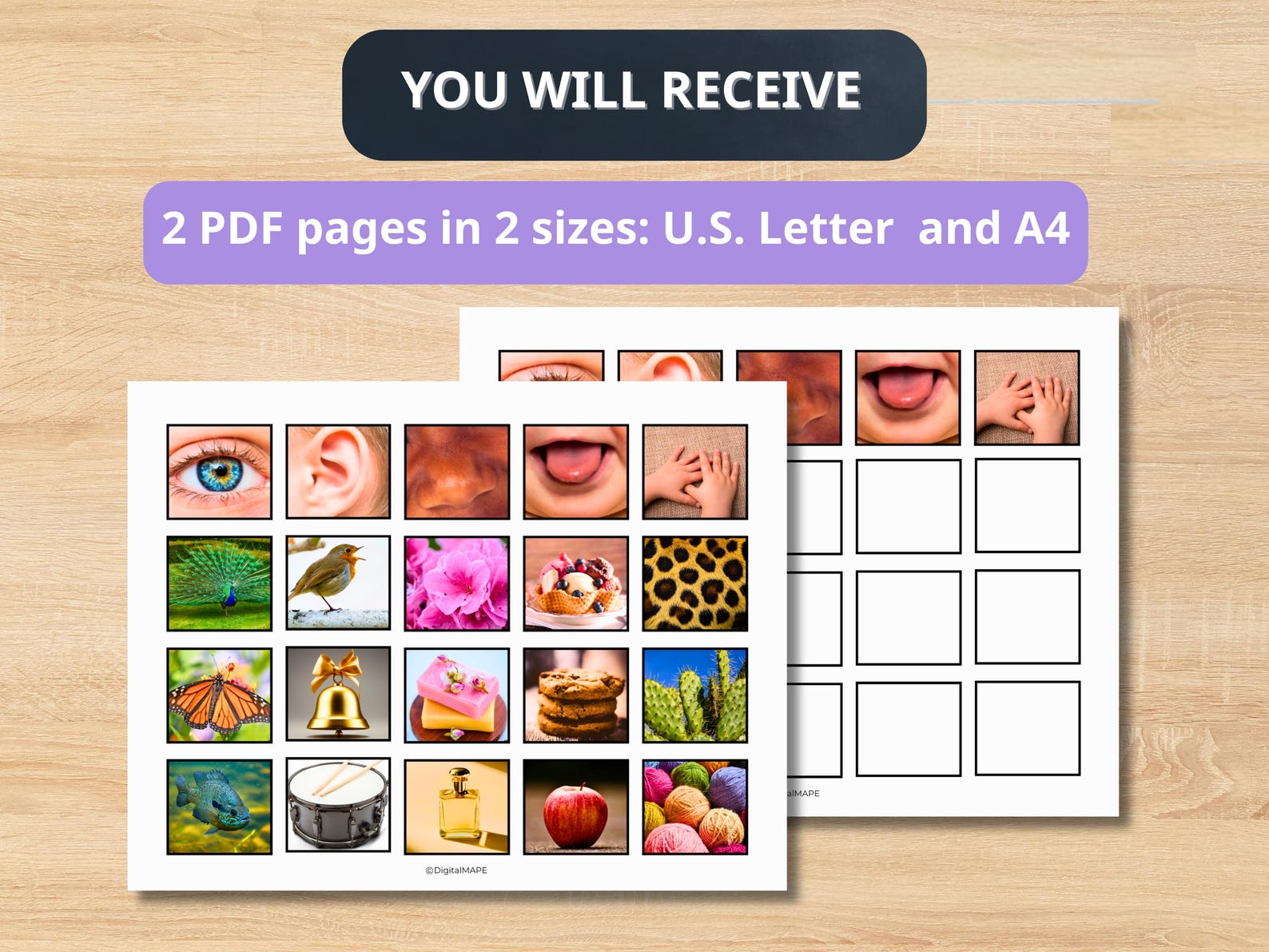 Five Senses Sorting Activity Cards Printable | Montessori Real Pictures ...