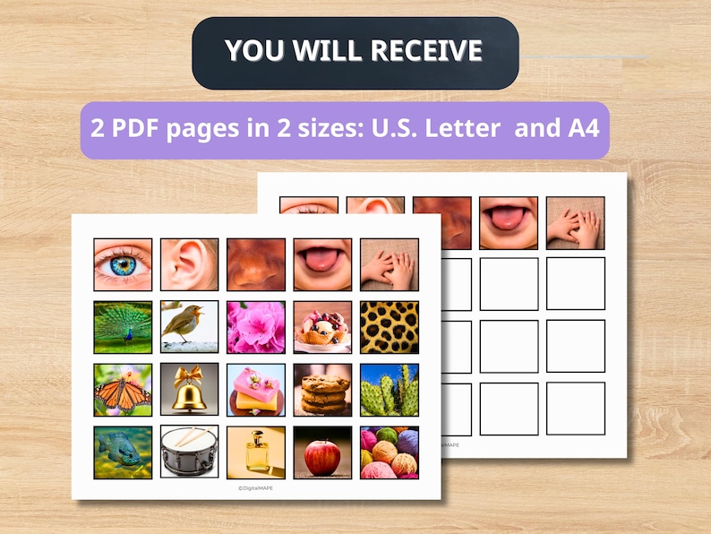 Five Senses Sorting Activity Cards Printable | Montessori Real Pictures ...