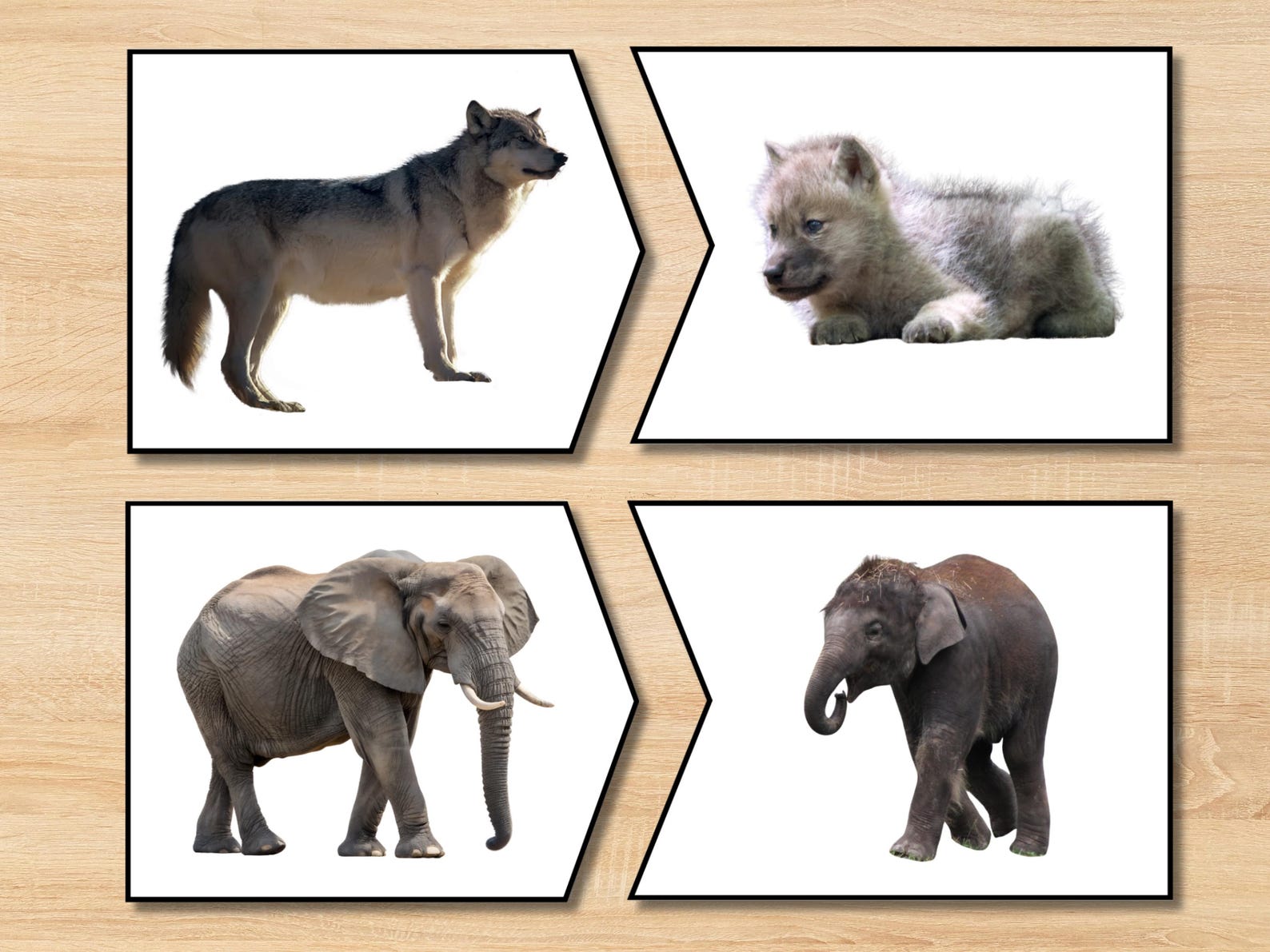 Montessori Mom & Baby Animals Matching Game | Printable Puzzle Activity ...