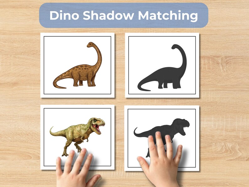 Dinosaur Shadow Matching Cards | Preschool Montessori Printable ...