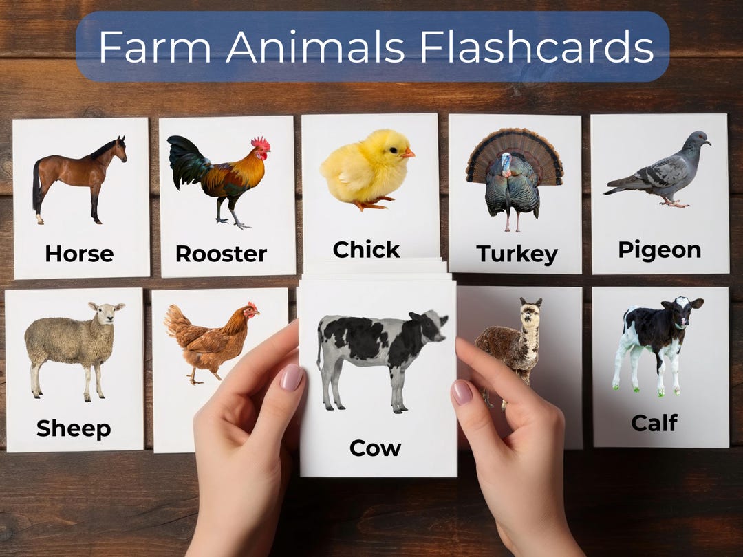28 Farm Animals Flashcards | Montessori-inspired Real Photo Cards With ...