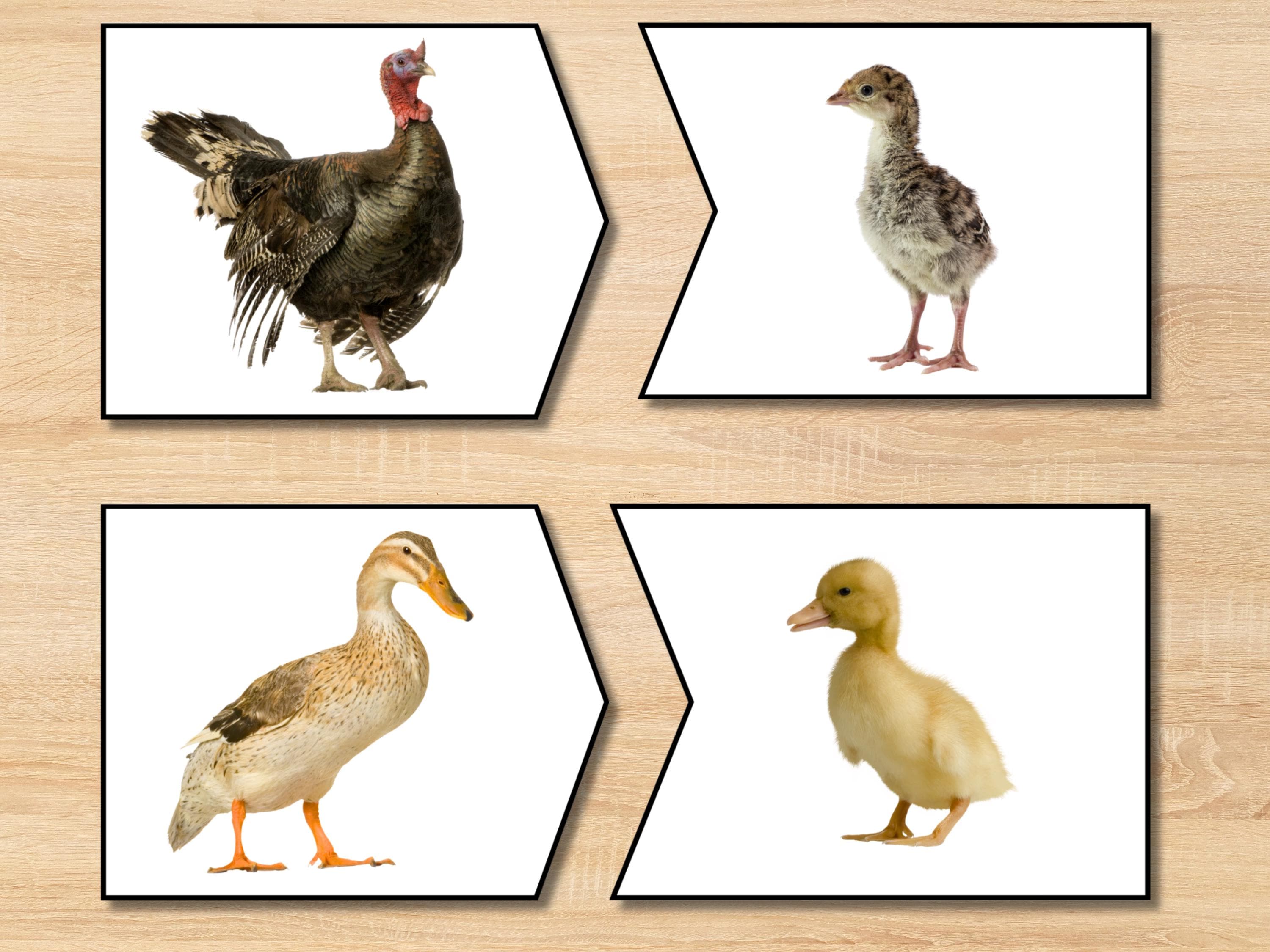 Montessori Mom & Baby Animals Matching Game | Printable Puzzle Activity ...