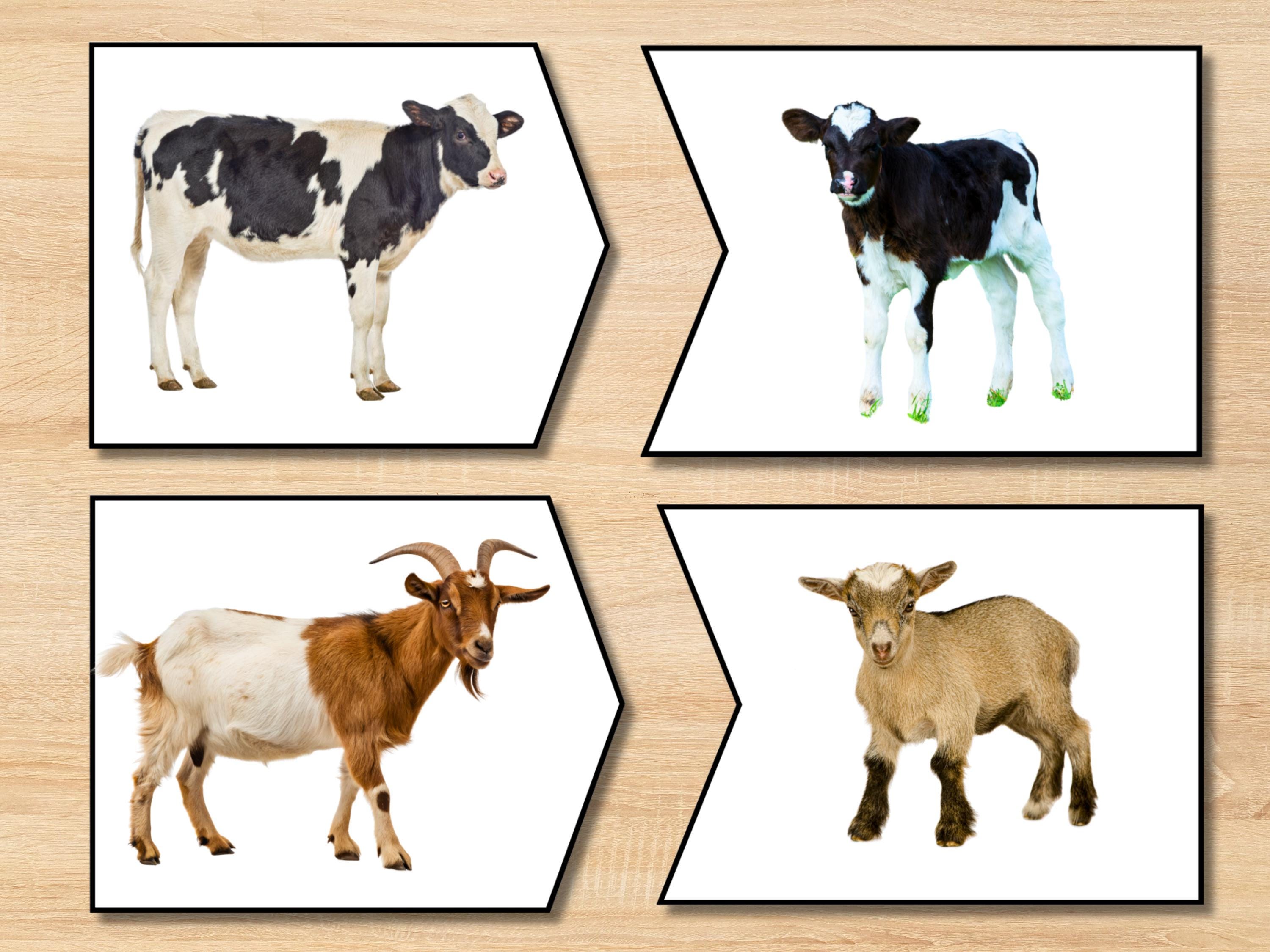 Montessori Mom & Baby Animals Matching Game | Printable Puzzle Activity ...