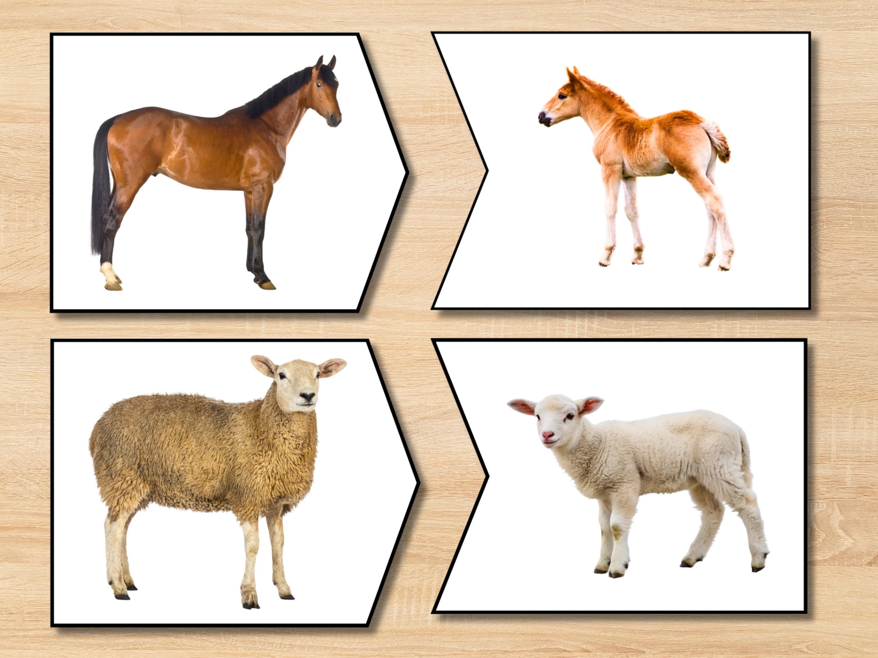 Montessori Mom & Baby Animals Matching Game | Printable Puzzle Activity ...