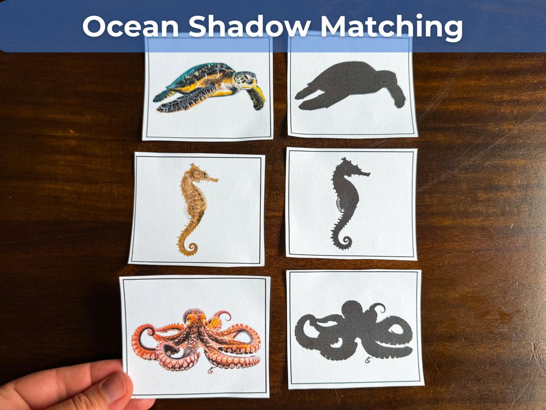 Ocean Animals Shadow Matching Cards Printable for Preschool Toddler ...