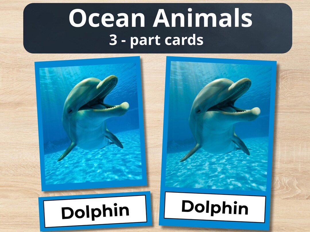 Ocean Animals Montessori 3-part Cards | Printable Matching Game for ...