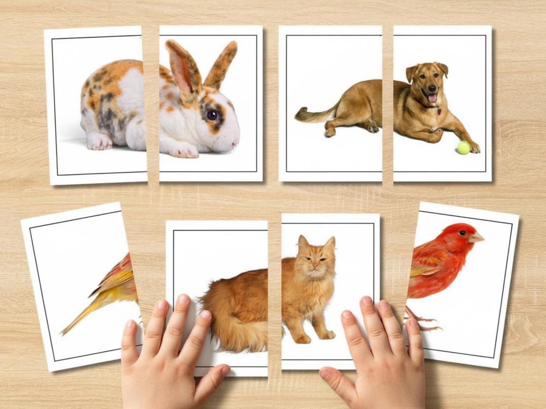 Pet Animals Matching Game | Montessori Puzzle Activity for Kids ...