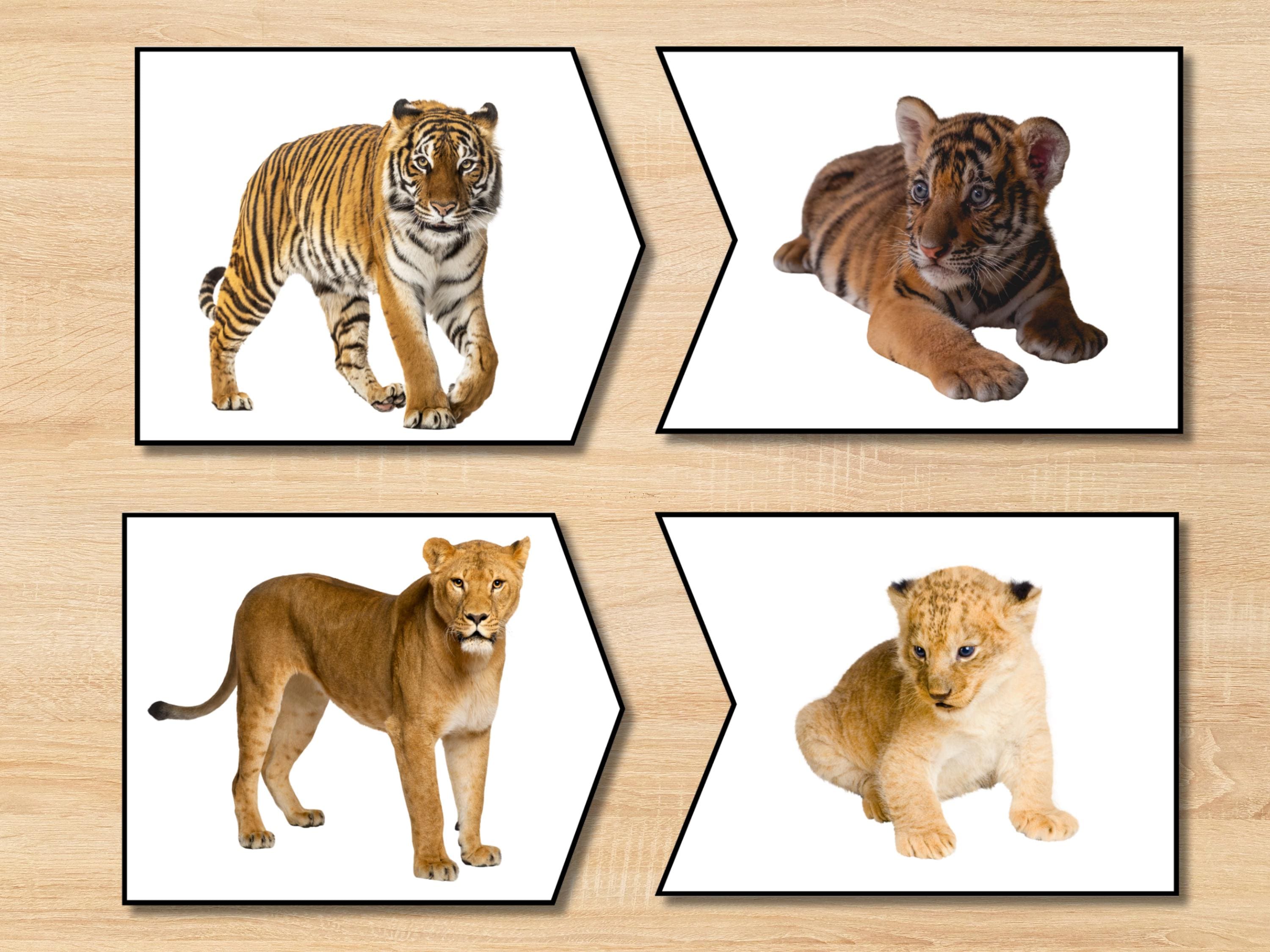 Montessori Mom & Baby Animals Matching Game | Printable Puzzle Activity ...