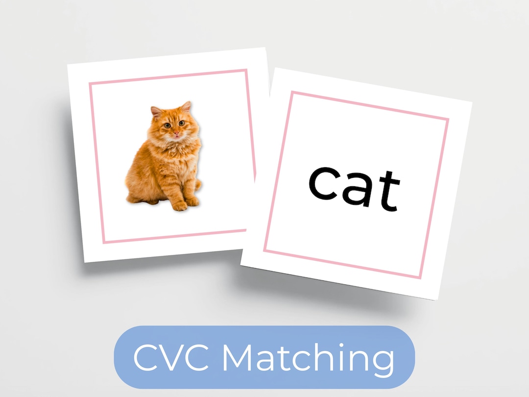 Montessori Pink Series CVC Words Matching | Short Vowel A Printable ...