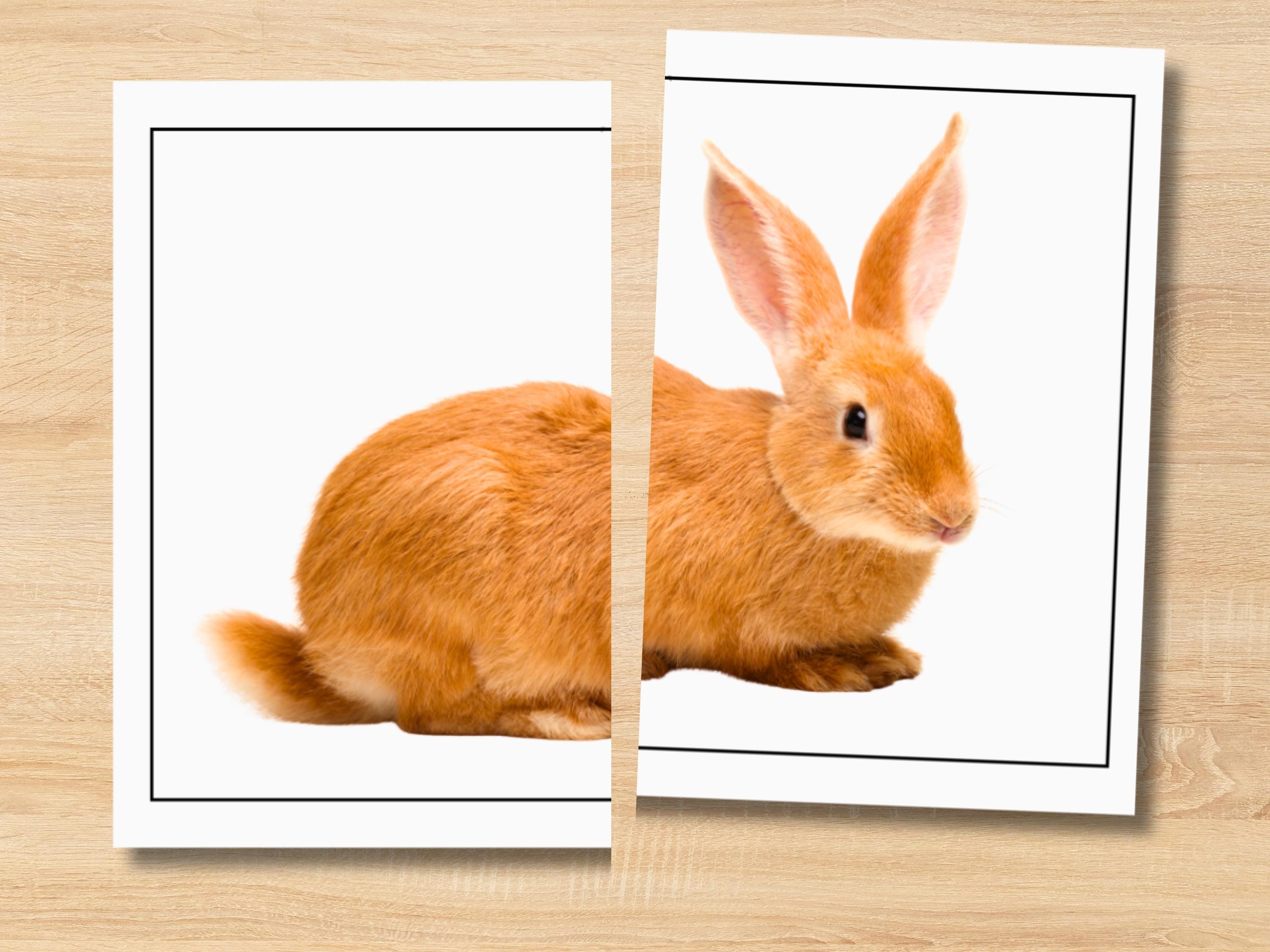 Farm Animals Matching Activity | Montessori Toddler Puzzle Game ...