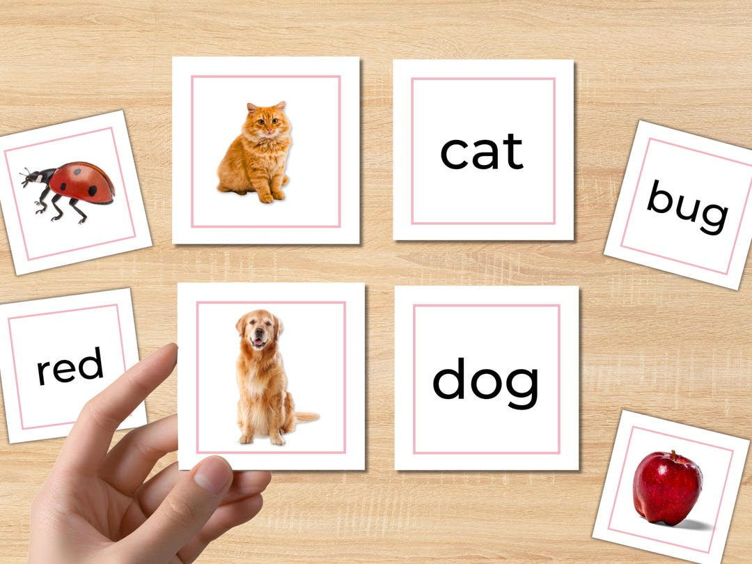 CVC Words Matching Cards | Montessori Pink Series Printable for ...