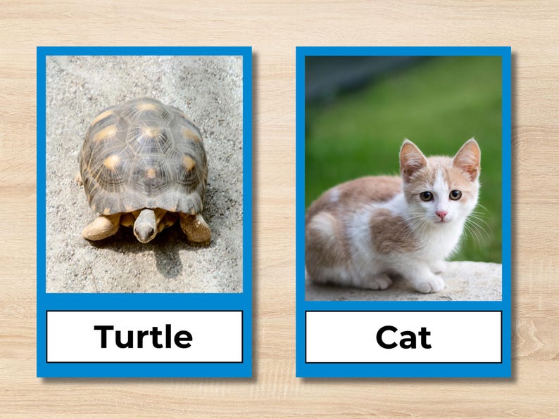 Pet Animals Montessori 3-part Cards | Printable Pets Matching Game ...