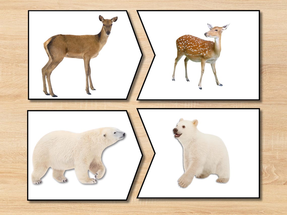 Montessori Mom & Baby Animals Matching Game | Printable Puzzle Activity ...
