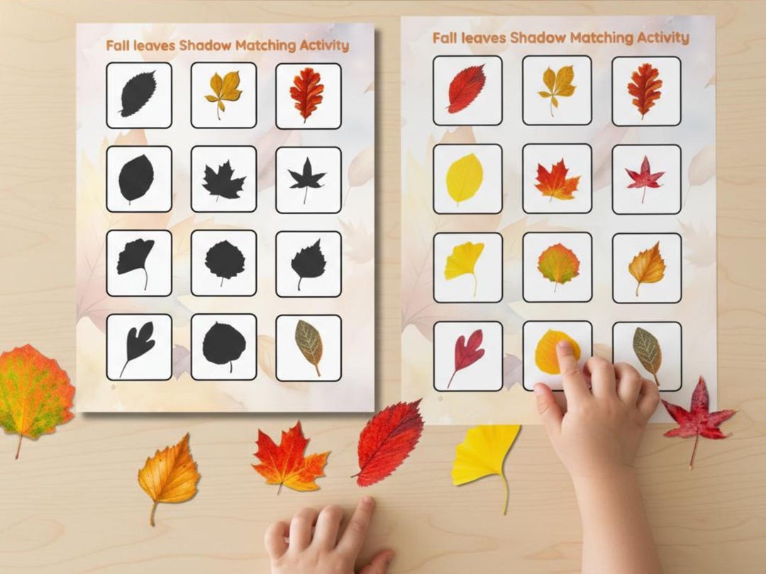 Montessori Fall Leaves Shadow Matching Game | Printable Activity for ...