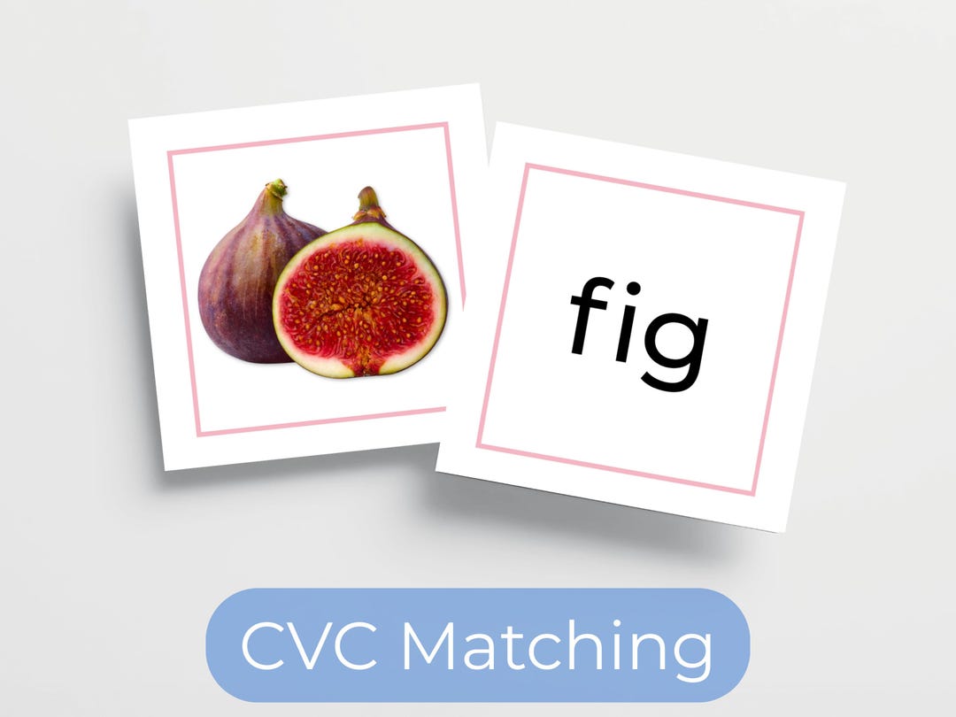 Montessori Pink Series CVC Words Matching | Short Vowel I Printable ...