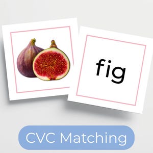 Montessori Pink Series CVC Words Matching | Short Vowel I Printable ...