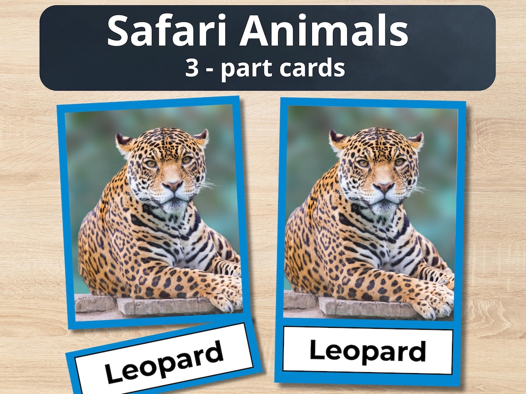 Safari Animals Montessori 3-part Flashcards | Printable Matching Game ...