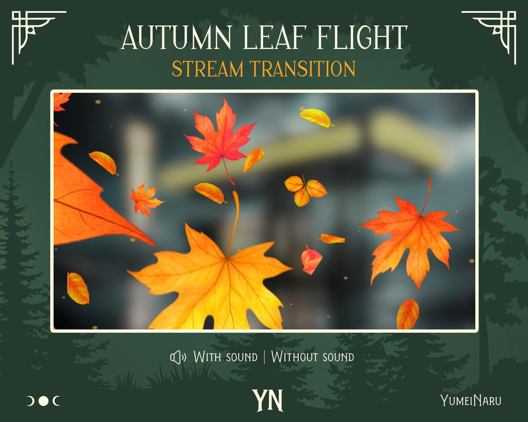 Autumn Leaf Fall Stream Transition | Animated Stinger With Sound ...