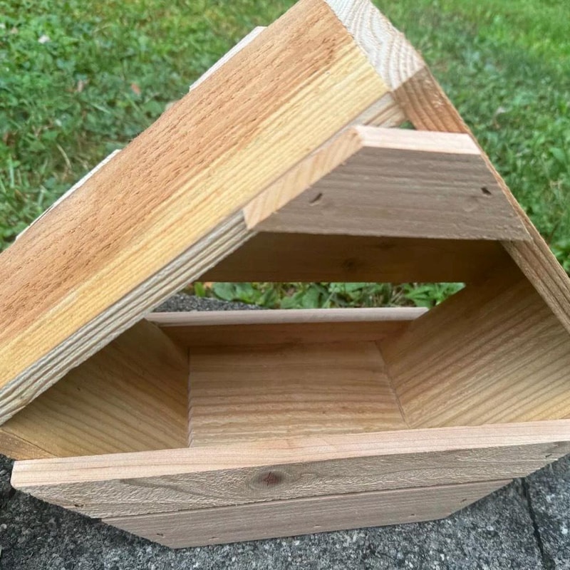 Mourning Dove - Etsy