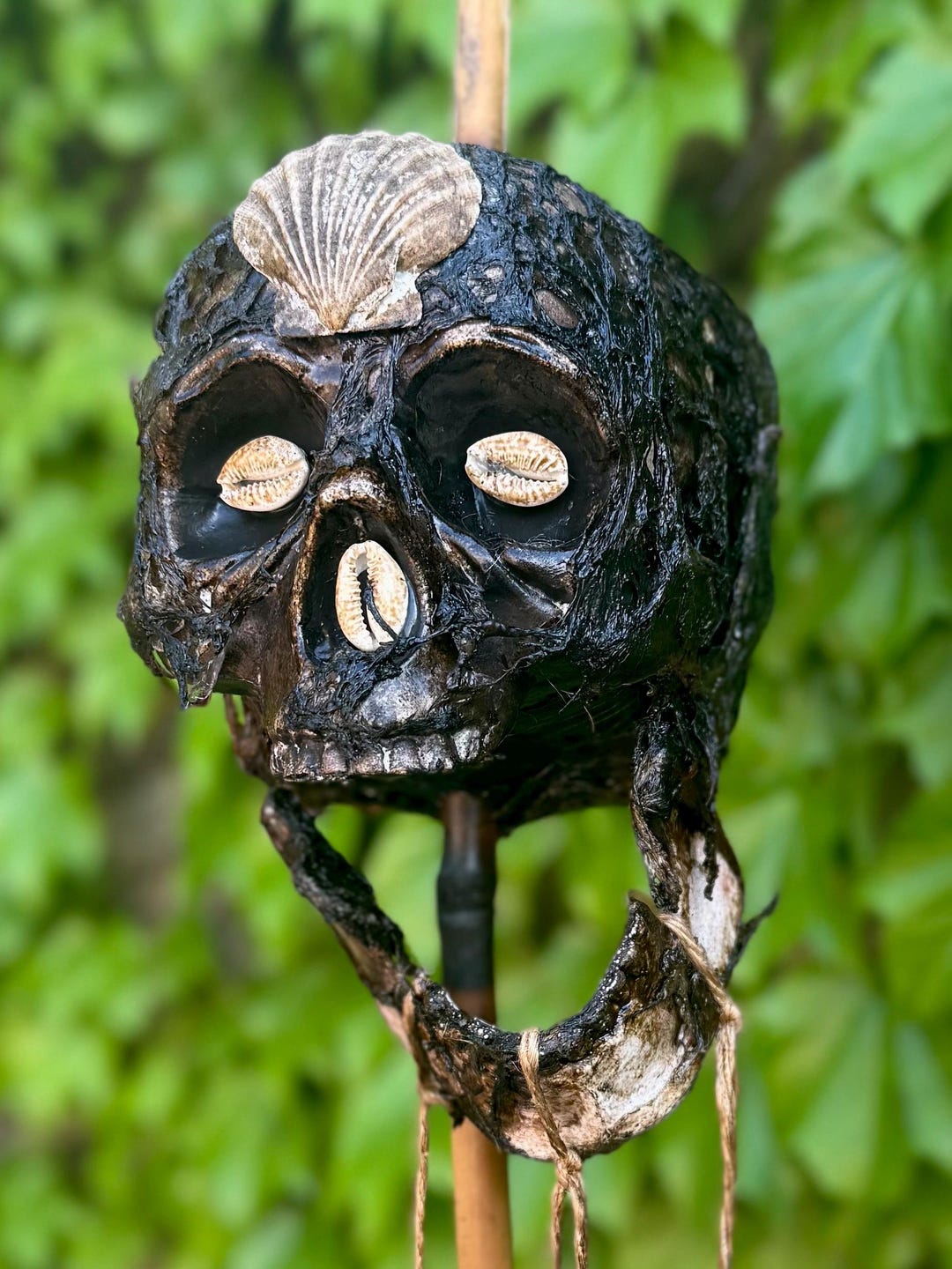 Headhunter’s Trophy Skull - Etsy