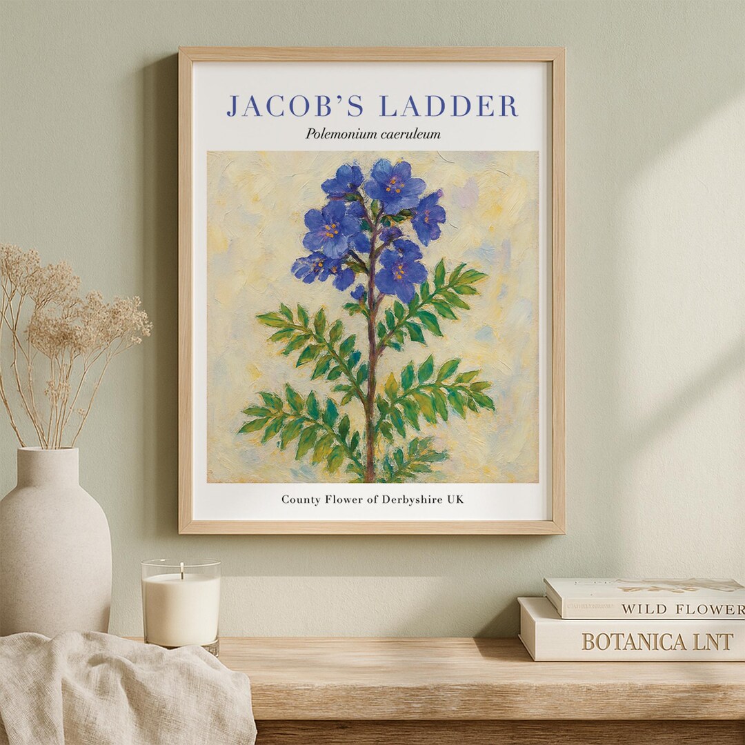 Jacob's Ladder Flower Print, Botanical Wall Art (digital Download) - Etsy