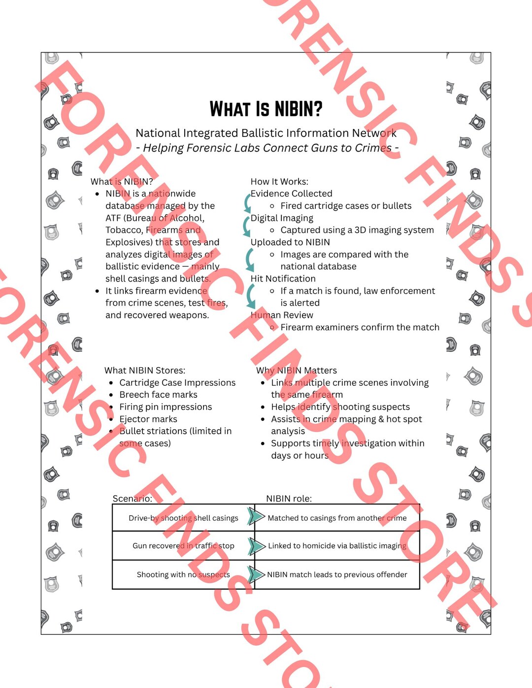 NIBIN Infographic: Forensic Firearm Analysis Poster (digital Download ...
