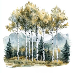 10 Forest Birch Trees Papers, 10 High Quality Jpgs, Digital Download ...