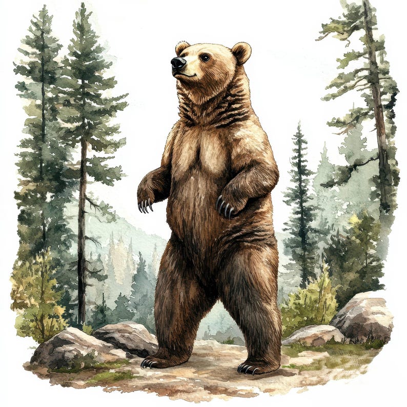 10 Grizzly Bear Clipart, 10 High Quality Jpgs, Digital Download ...