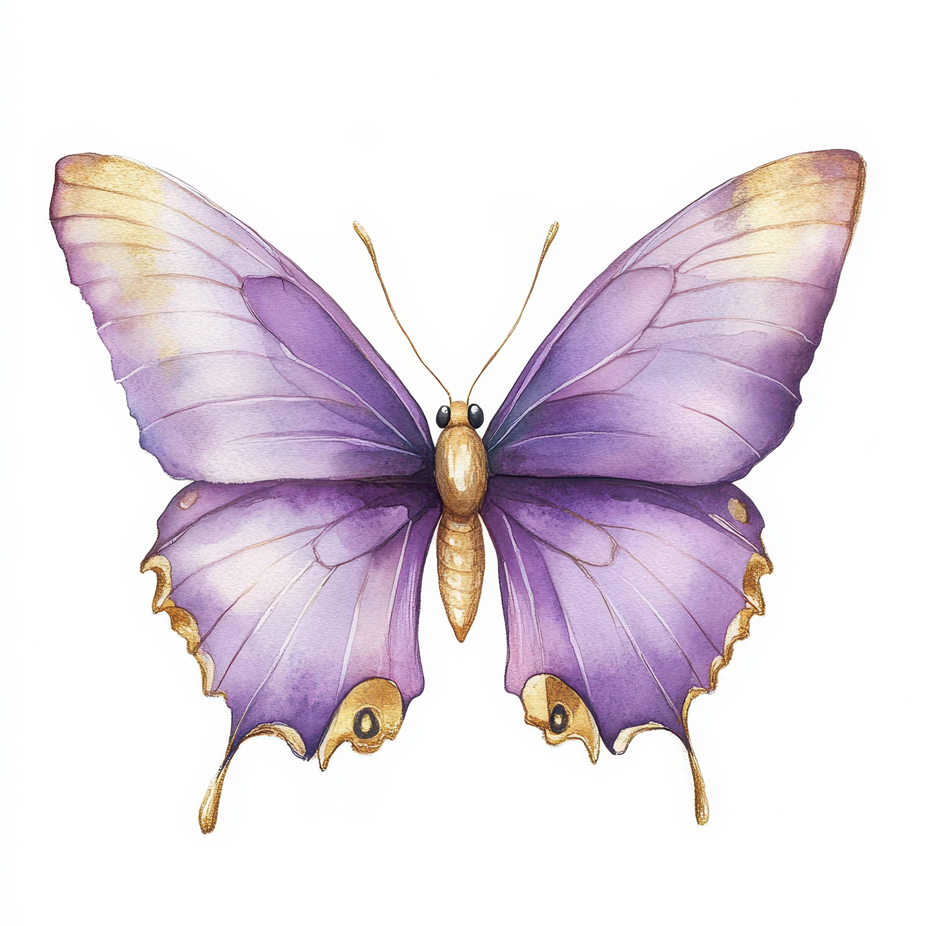 14 Purple Butterfly Clipart, Digital Download, High Quality Jpgs, Paper ...