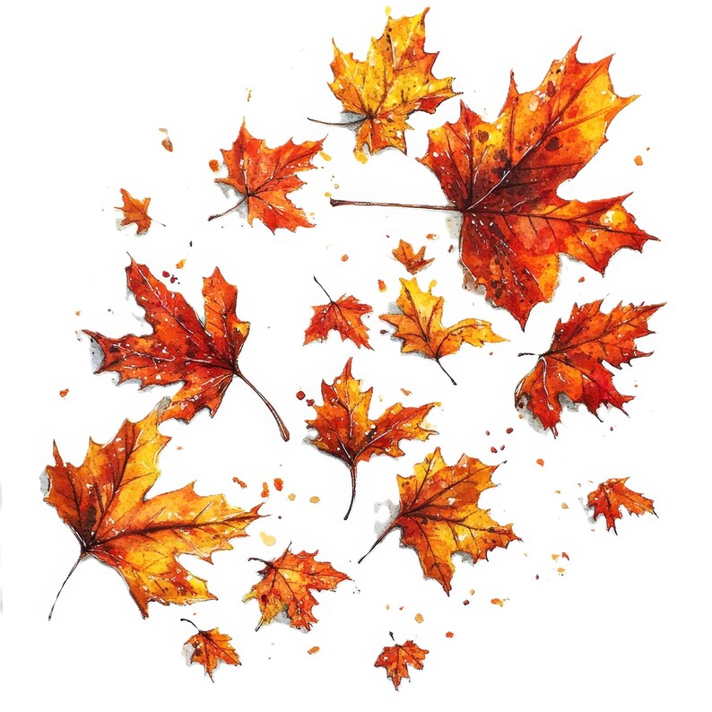 11 Falling Autumn Leaves Clipart, 10 High Quality Jpgs, Paper Craft ...